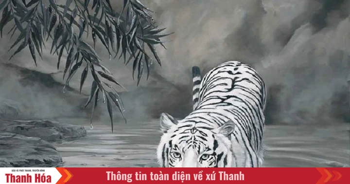 Con hổ trắng trong rừng Ma Hón