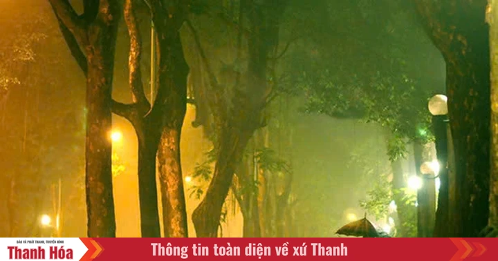 Lãng đãng đầu đông...