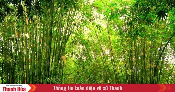 Tre làng xứ Thanh - Dáng đứng kiên cường